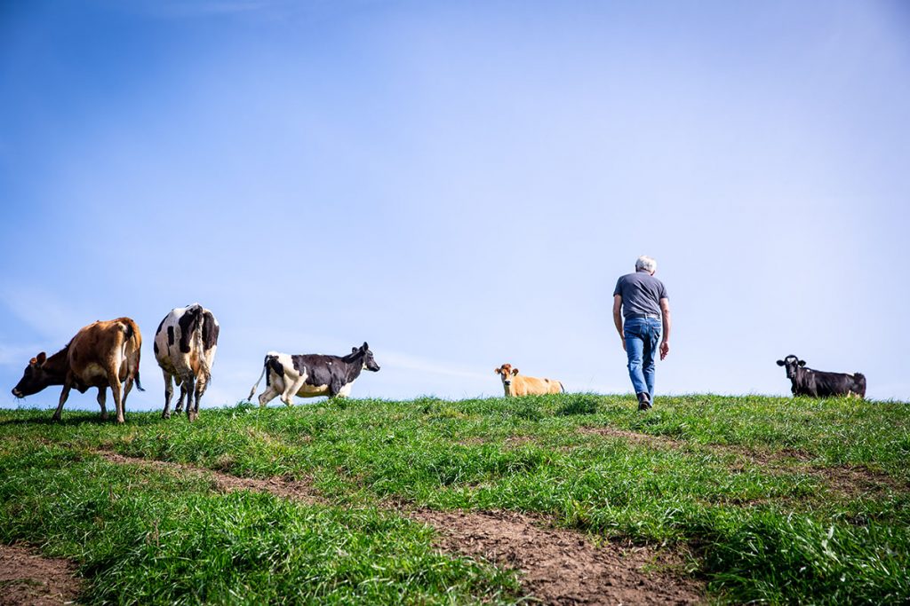 Norco - Co-operative Farming