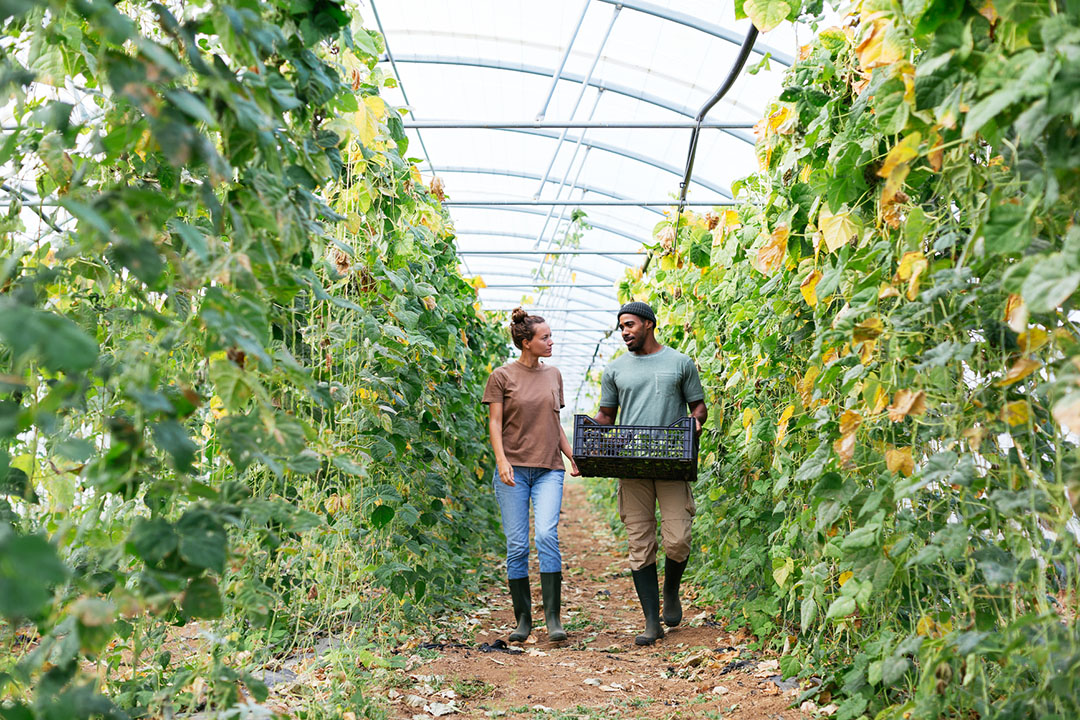 Love thy neighbour: Neighbouring farmers joining forces - Co-operative ...
