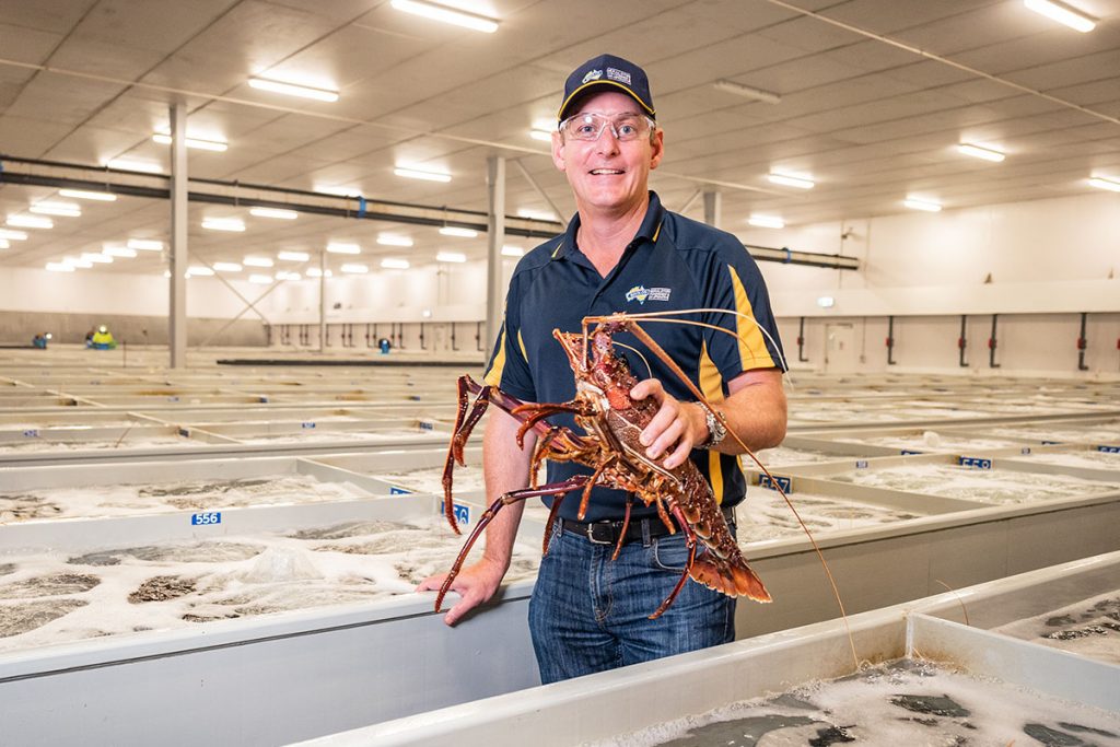 From the west to the world: Geraldton Fishermen's Co-operative - Co ...