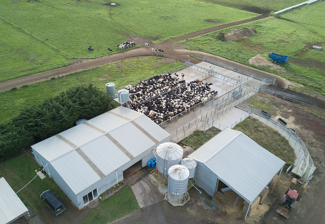Why acquisition of milk processors raises concerns for food security ...
